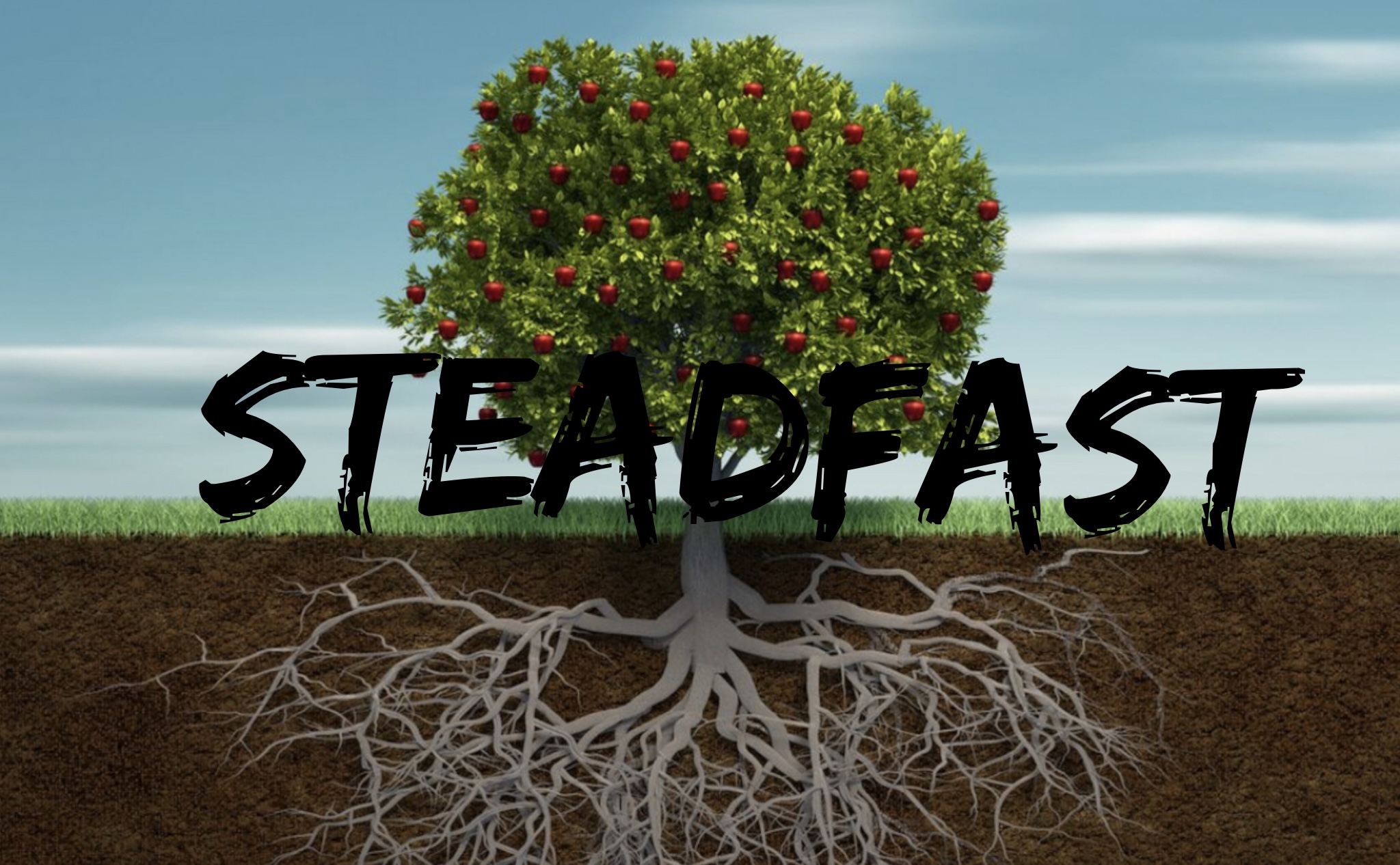 Steadfast vs Dead-fast faith - Keepers of Heart and Home